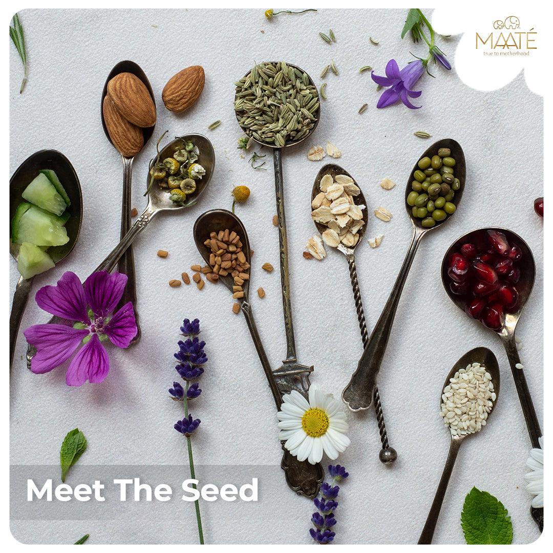 MEET THE SEED – Maate